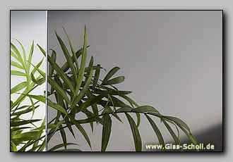 Ganzglastüren aus Ornamentglas (Duisburg, Mülheim, Krefeld, Essen ...